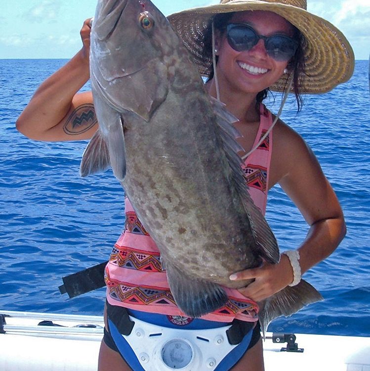 Gallery – Charter Fishing Venice FL | Deep Sea Fishing with Captain Ed